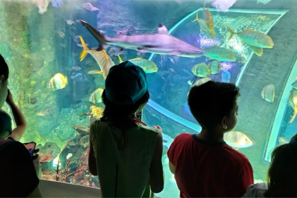 Modos de vida: CAJ "Paco Juárez"